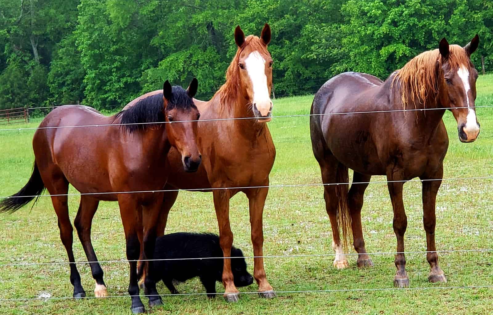 Contact Us – God's Legacy Ranch